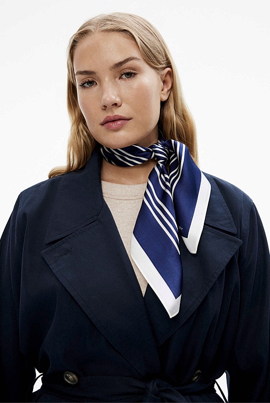 Ink Blue Stripe Print Scarf - Women's Scarves & Wraps | Witchery
